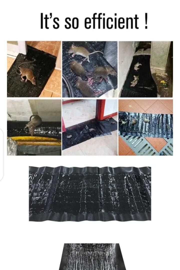 Best Price Effective Rat And - Buy Effective Rat and Mouse Glue Mat ...